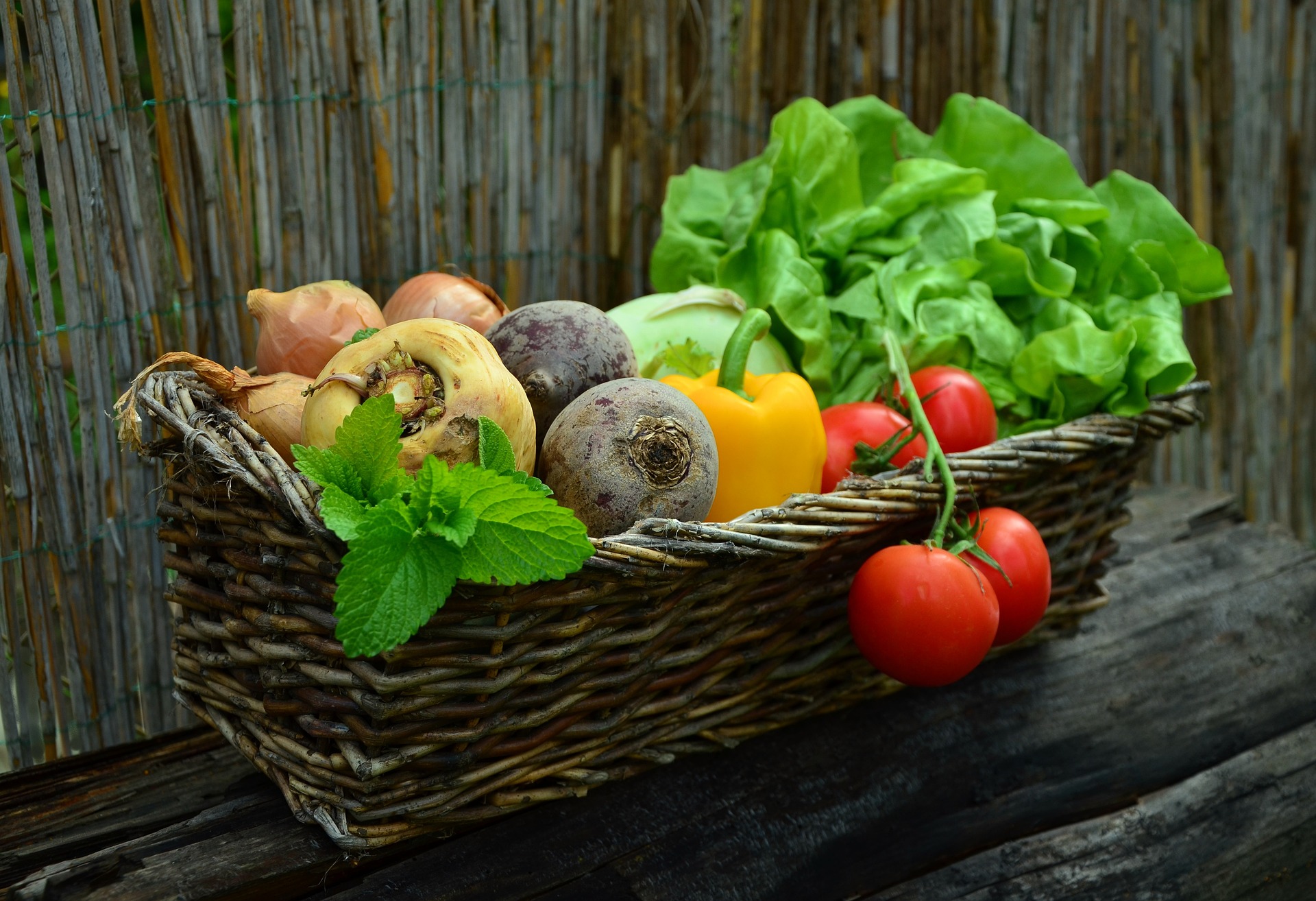 Certifikace IFS Food verze 8 | Kvalita a bezpečnost potravin